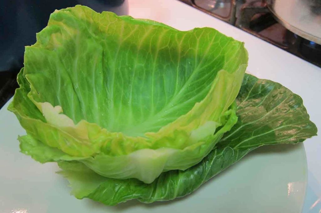 White Cabbage: The Healthiest Vegetable